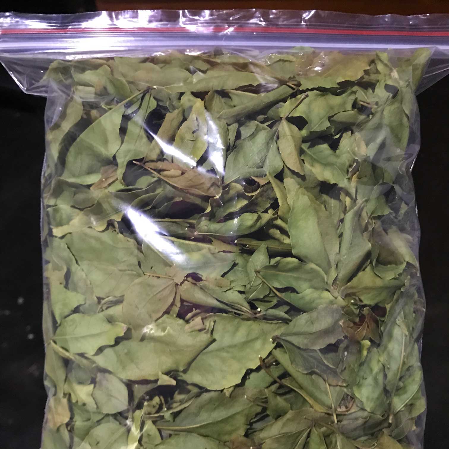 500+ Bael Leaves, Dried Bel Leaves, Dried Bael patri | Ceylon Organic