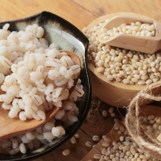 Barley seeds ,common barley, grain barley, cereal barley | Ceylon Orga ...