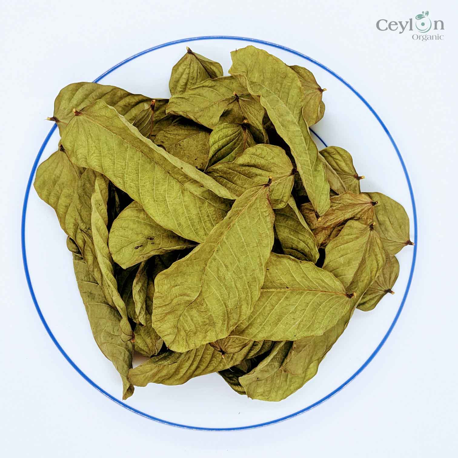 1000+ Organic Dehydrated Cassia Alata Leaves - Dried Candle Bush | Cey ...