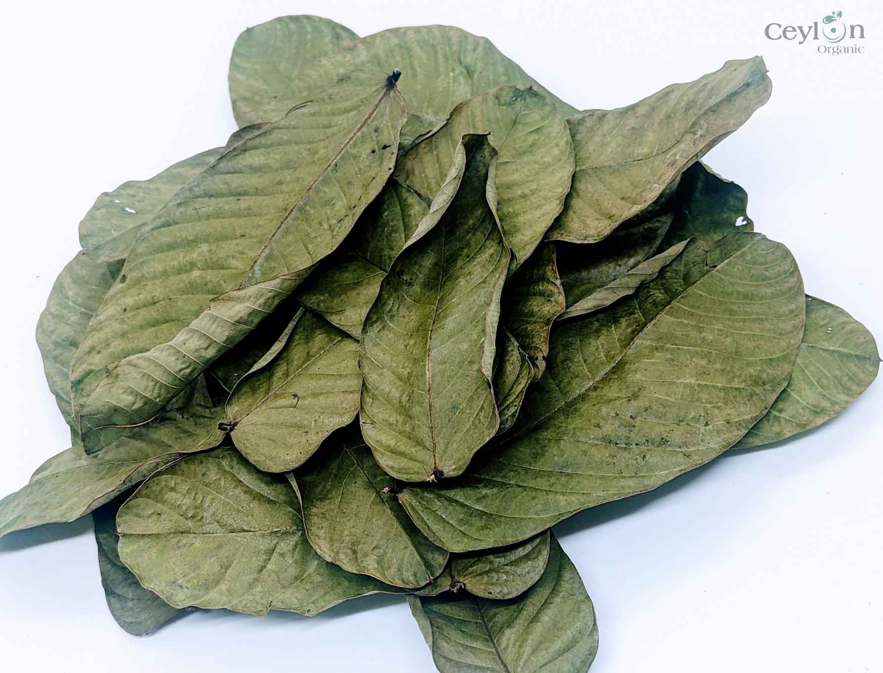 1000+ Organic Dehydrated Cassia Alata Leaves - Dried Candle Bush | Cey ...