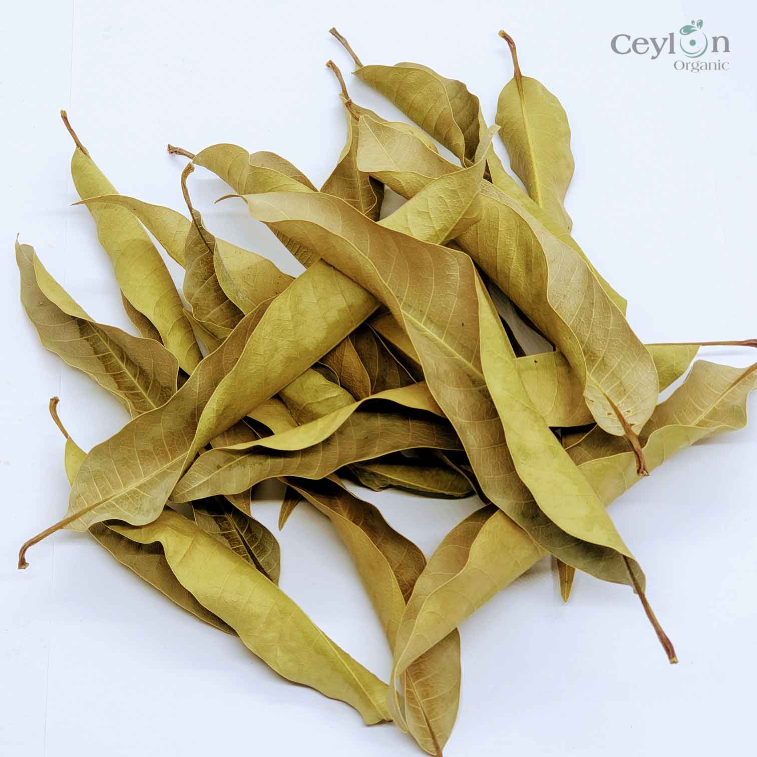 500+ Mango Leaves,Dried Mango Leaves | Ceylon Organic