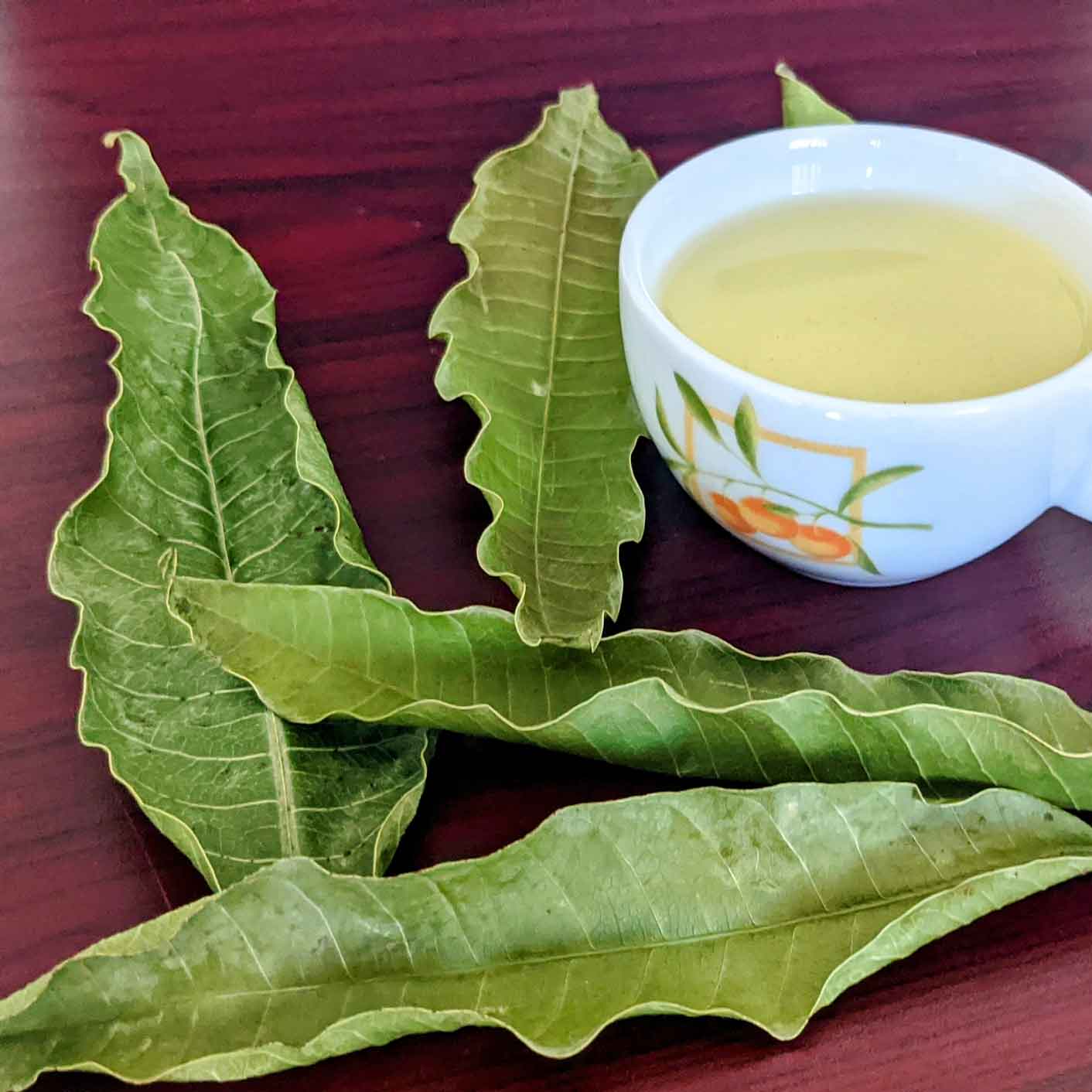 Pure Dried Mango Leaves Tea Cut – Refreshing Herbal Tea Blend | Ceylon ...