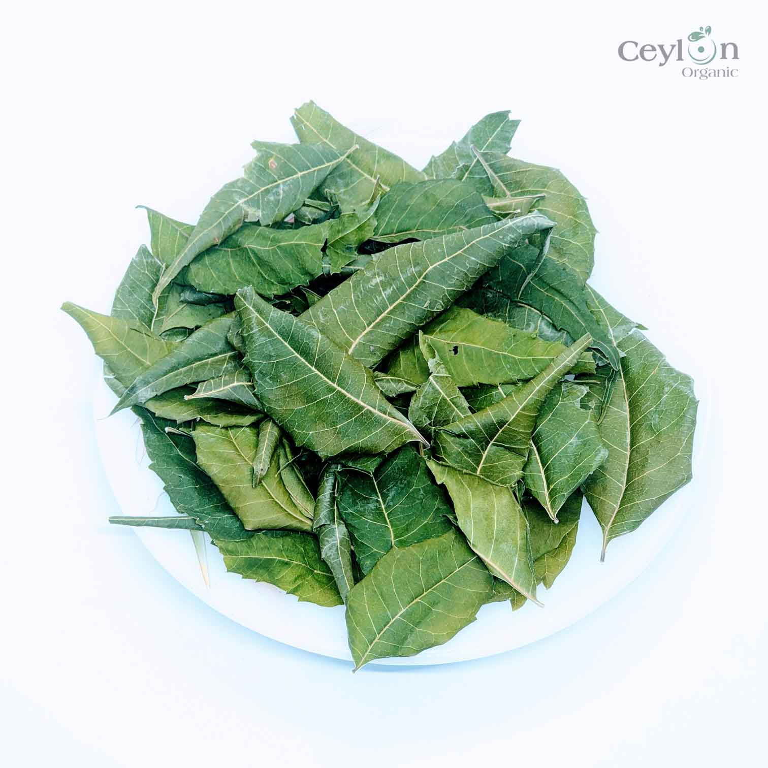 2kg+ Neem Leafs, Neem Leaves, Dried Neem Leaf, Dried Neem Leaves | Cey ...