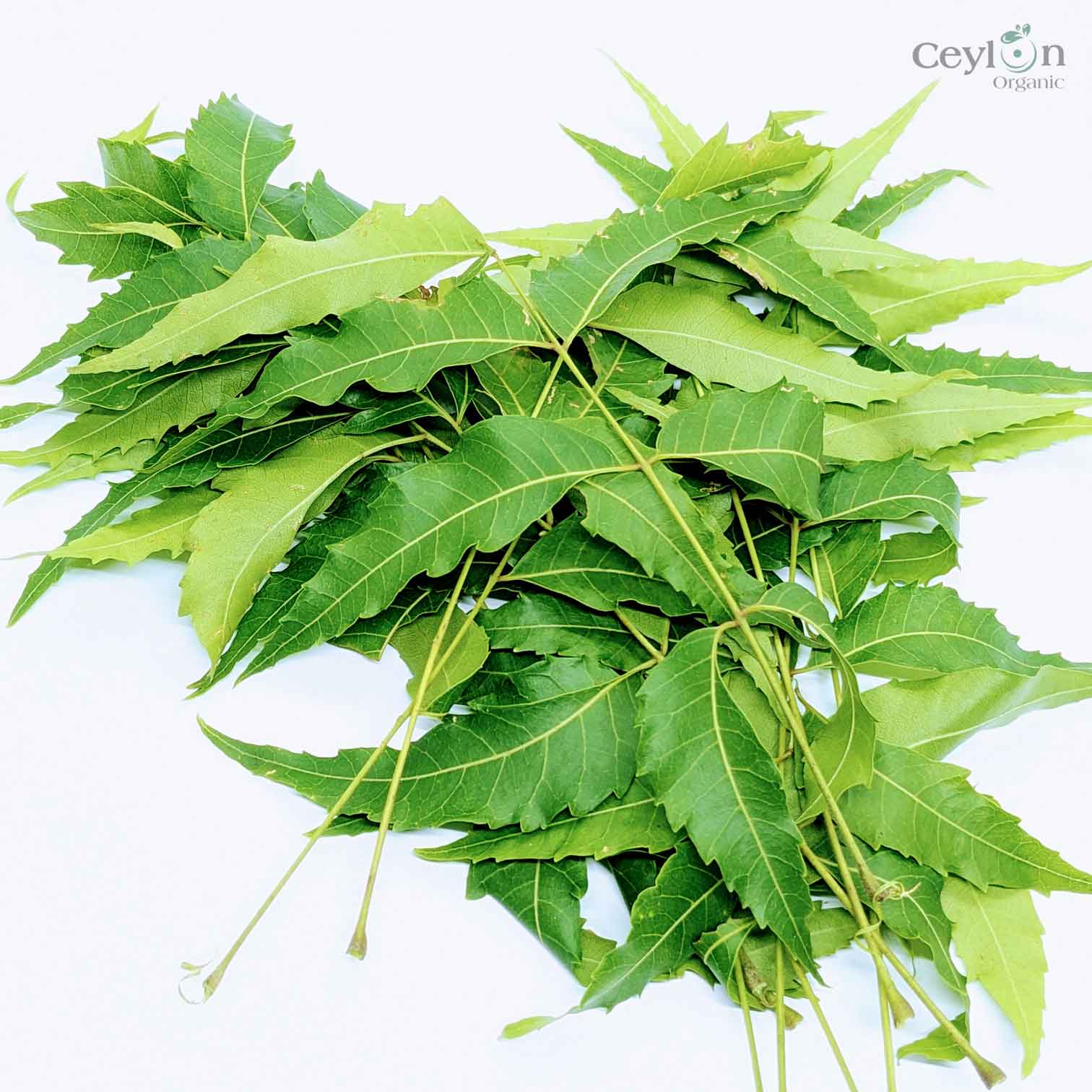 2kg+ Neem Leafs, Neem Leaves, Dried Neem Leaf, Dried Neem Leaves | Cey ...