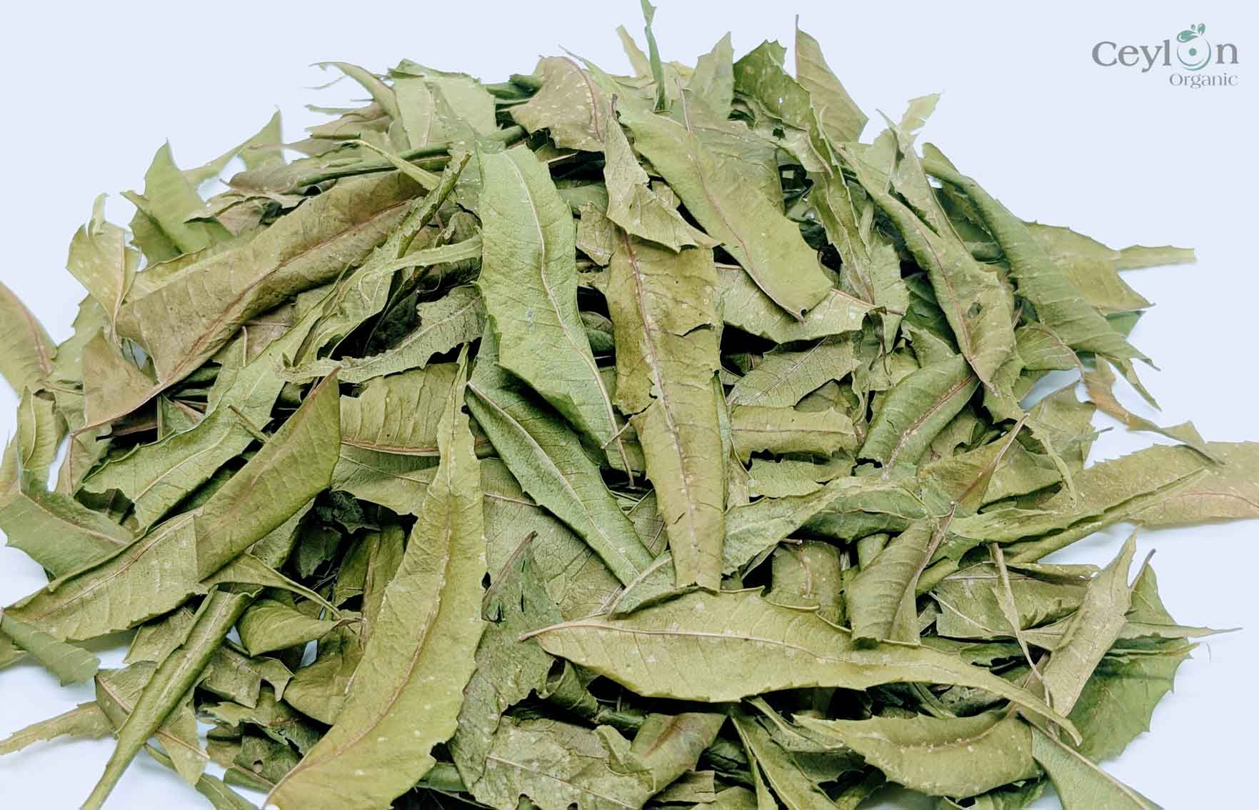 2kg+ Neem Leafs, Neem Leaves, Dried Neem Leaf, Dried Neem Leaves | Cey ...