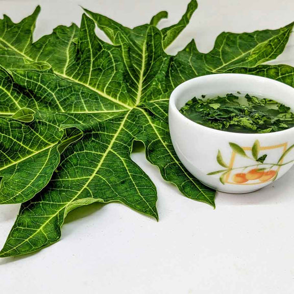 Dried Papaya Leaves ,Premium Herbal Leaves for Tea & Wellness | Ceylon ...